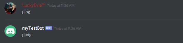 Getting Started Long Version · Discord Js Bot Guide